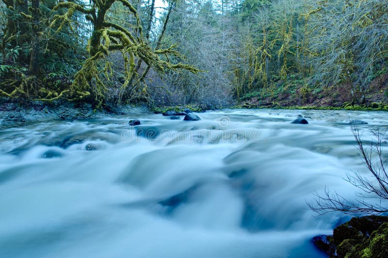 Pacific Northwest Mountain River Stock Photo - Image of flowing, rocks ...