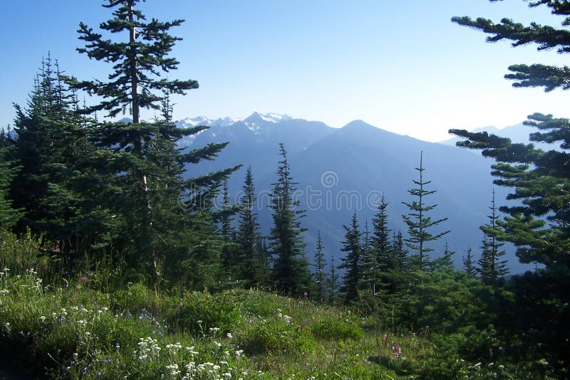 Pacific Northwest Mountains Stock Image - Image of altitude, pacific ...