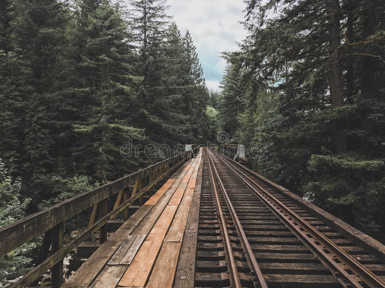 Pacific Northwest Railroad Tracks through the Forest Stock Image ...