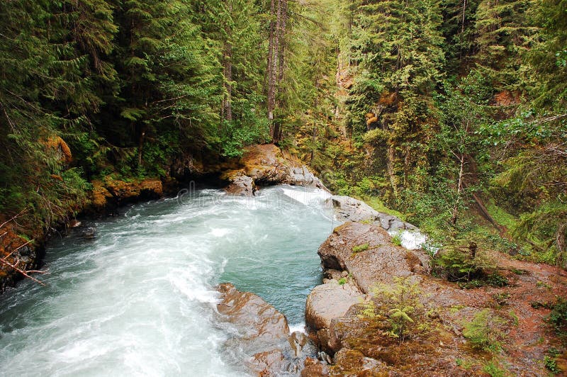Pacific northwest river stock photo. Image of nature, forest - 9717928