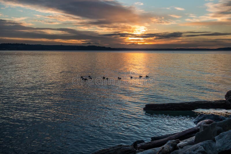 Pacific Northwest Sunset 8 stock photo. Image of landscape - 84608000