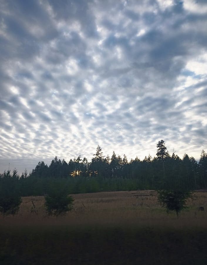 Pacific NW Sunset stock photo. Image of hill, nature - 236522896