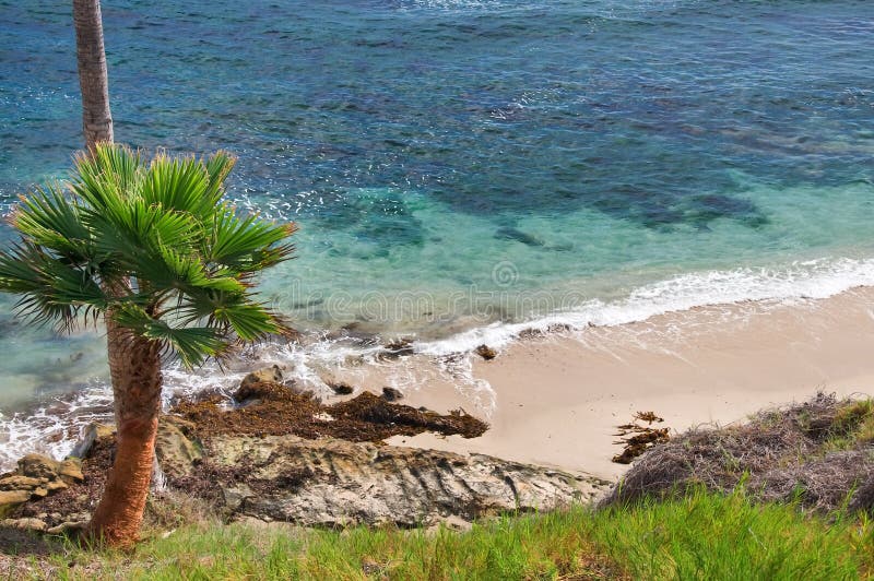 Pacific Ocean stock photo. Image of ocean, peaceful, scenery - 16657650