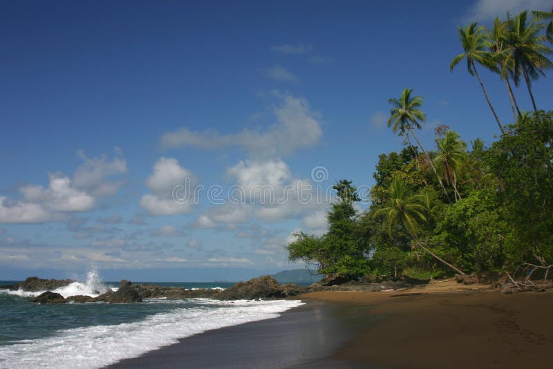 A pacific ocean beach stock image. Image of ocean, pacific - 7702791