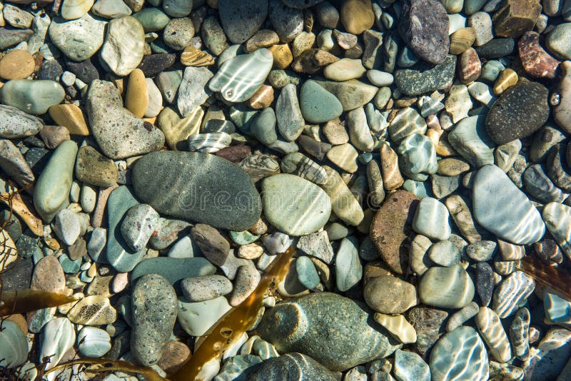 Pacific ocean bottom rocks stock photo. Image of color - 61610946