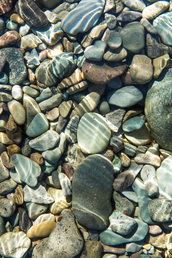 Pacific ocean bottom rocks stock image. Image of texture - 61611043