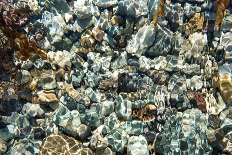 Ocean bottom stock image. Image of form, great, beautiful - 14617601