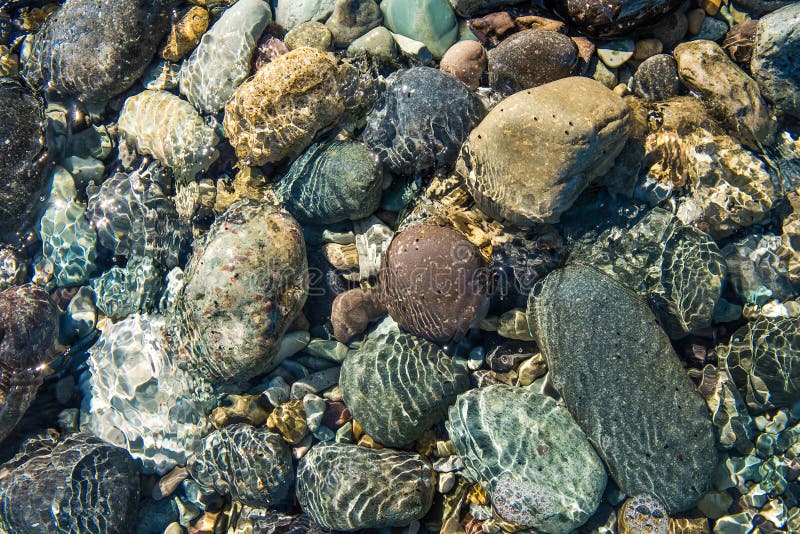 Pacific ocean bottom rocks stock photo. Image of closeup - 61614774