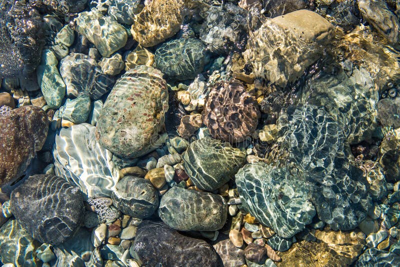 Pacific ocean bottom rocks stock photo. Image of outdoor - 61615830