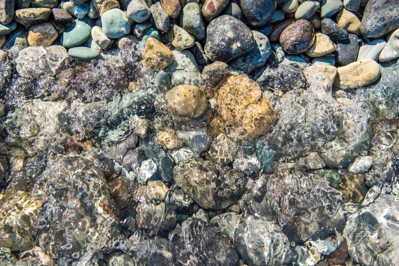 Pacific ocean bottom rocks stock photo. Image of macro - 61615880