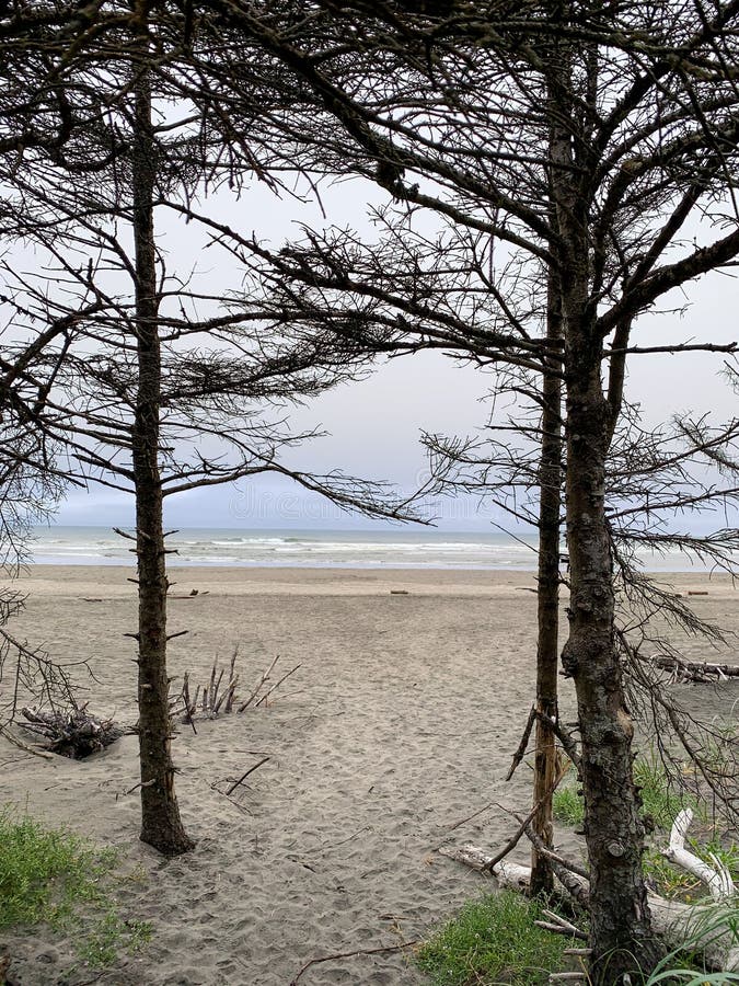 Pacific Ocean from Cape Disappointment State Park Stock Image - Image ...
