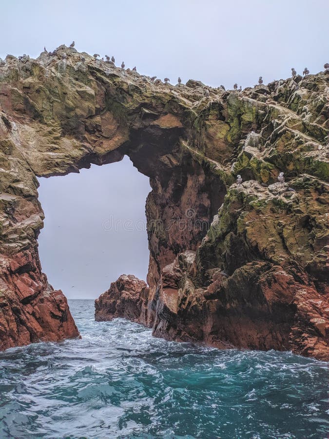 Pacific Ocean Cliff Peru stock image. Image of islet - 232508337