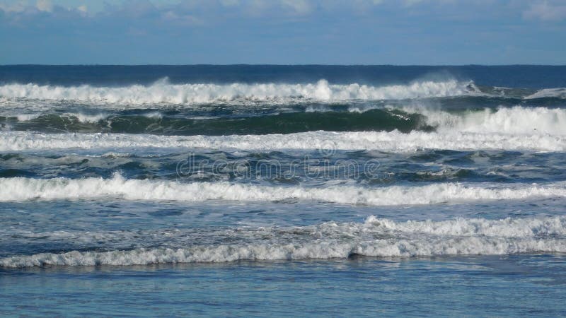Pacific Ocean Crashing Ashore Stock Photo - Image of gull, birds: 84574994