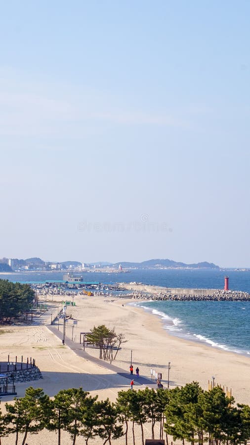 Pacific Ocean Waves Rolling Onto the Beach in South Korea Stock Image ...