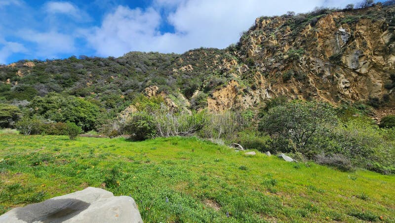 Pacific Palisades Mountains Photo Stock Photo - Image of grass, pacific ...