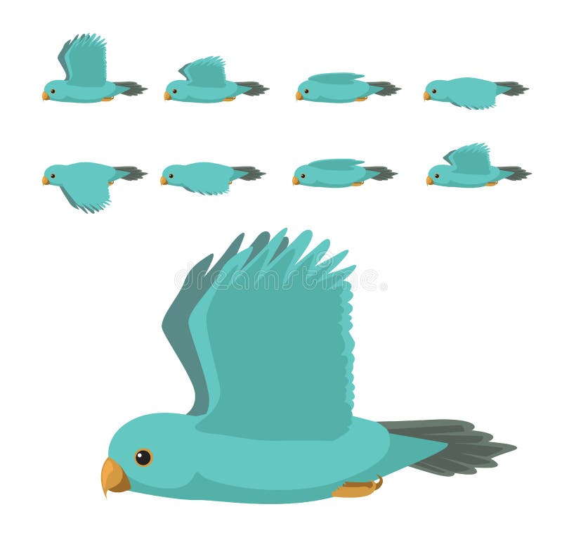 Pacific Parrotlet Forpus Flying Animation Sequence Cartoon Vector Stock ...