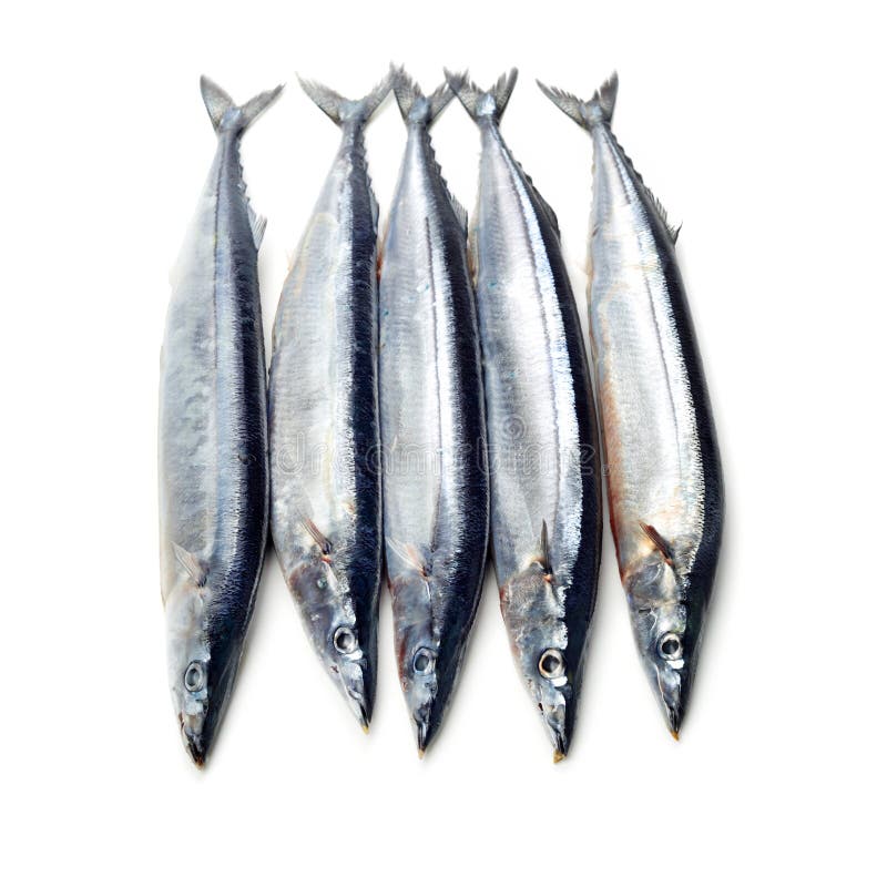 Pacific cod stock photo. Image of macro, food, protein - 145818362