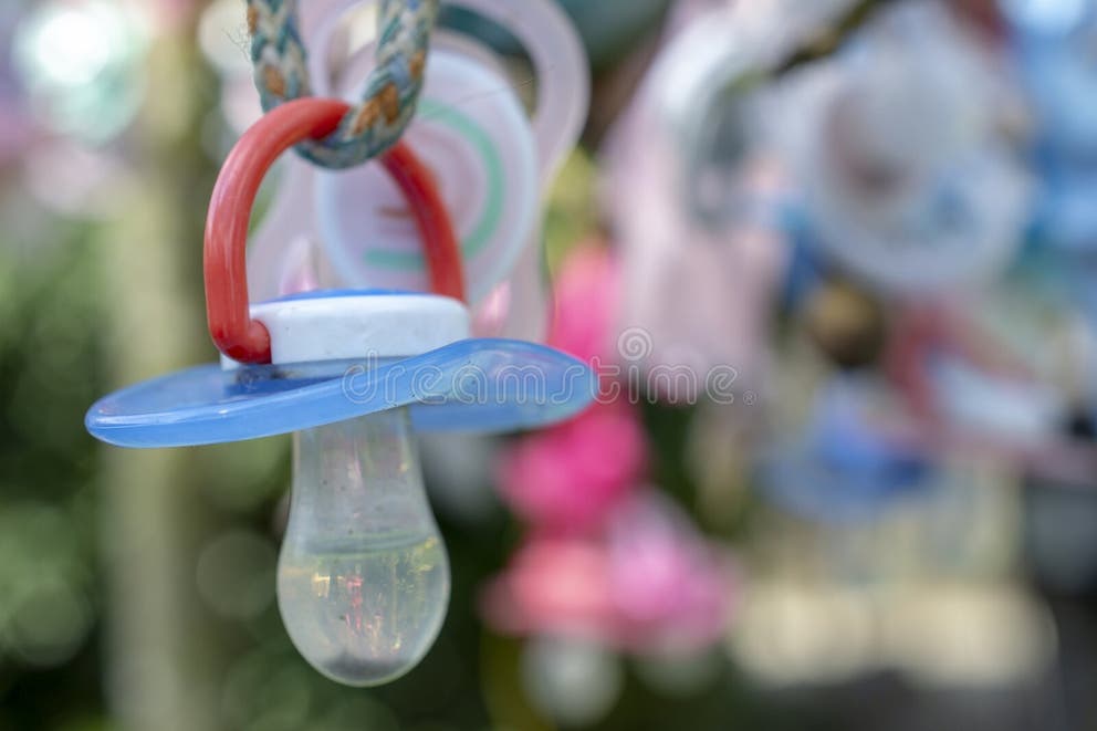 Pacifiers are Hanging on the Tree. Stock Photo - Image of branch, stick ...