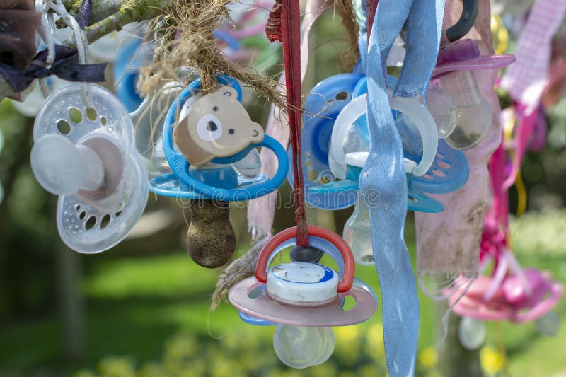 Pacifiers are Hanging on the Tree. Stock Photo - Image of stick ...