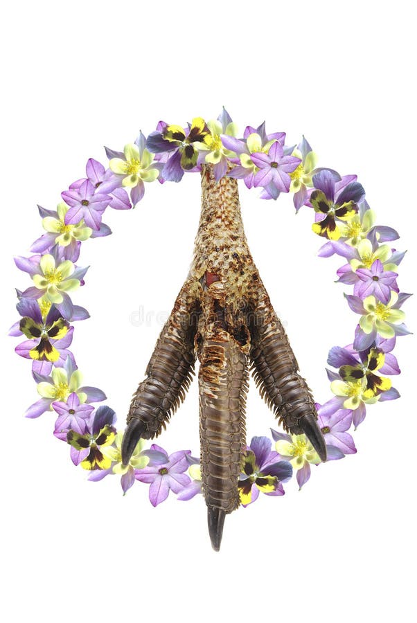 Pacifisme image stock. Image du paix, pacifiste, brun - 6777693