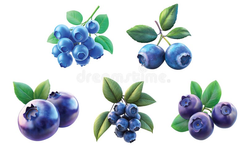 Pack Blueberry Berries Set Against Transparent Background for Fruit ...