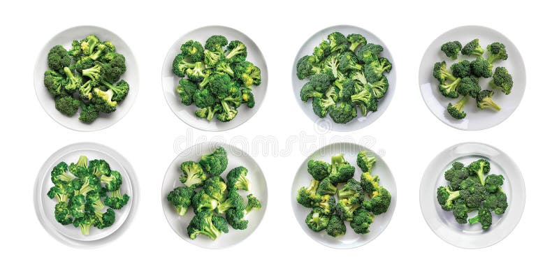 Pack of Broccoli in a Plate on Transparent Background Stock ...