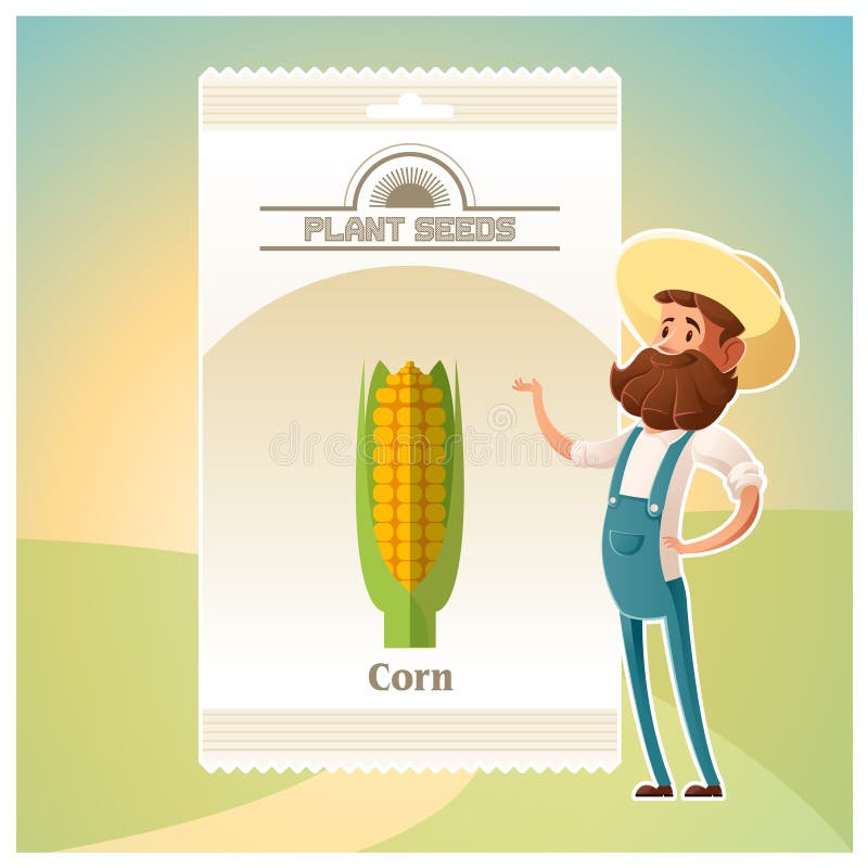 Corn Seeds Vector Cartoon Flat Illustration Isolated on White ...