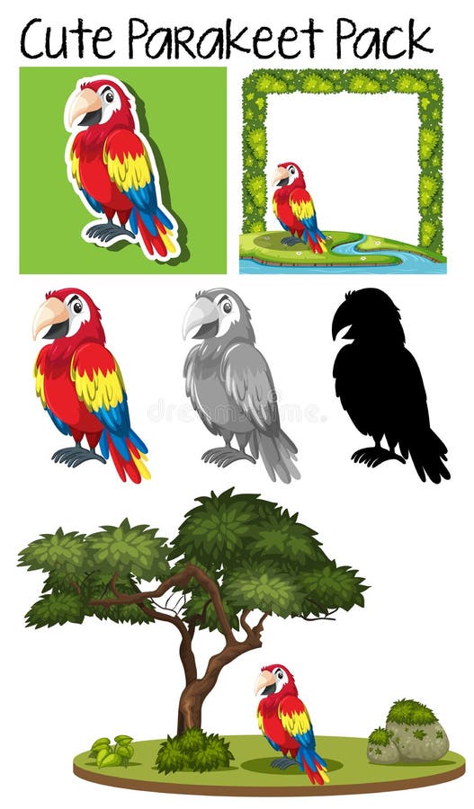 A pack of cute parrot stock vector. Illustration of water - 138888115