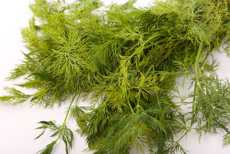 Pack Dill Vegetable Close-up Stock Image - Image of ingredient, cook ...