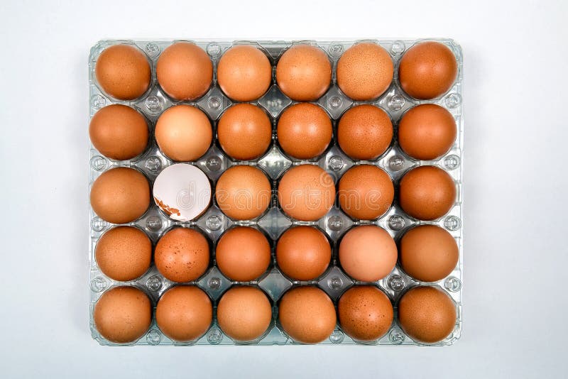Pack of Eggs with One Egg Shell Stock Image - Image of pack, brown ...