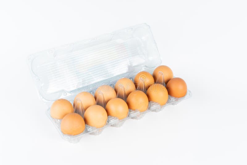Six pack eggs stock image. Image of organic, carton, food - 37582465