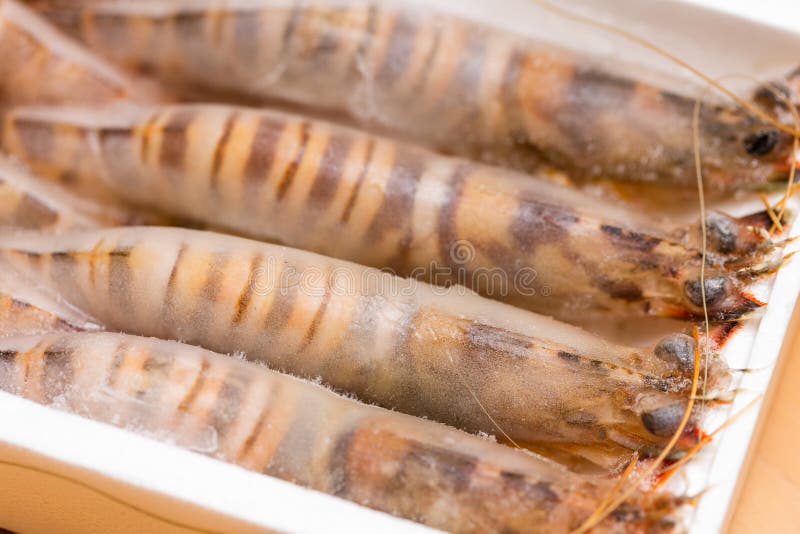 Pack of fresh raw shrimp stock image. Image of fish - 270380213