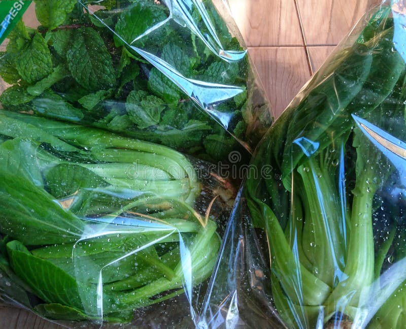 A Pack of Fresh Vegetables stock photo. Image of soil - 254813988