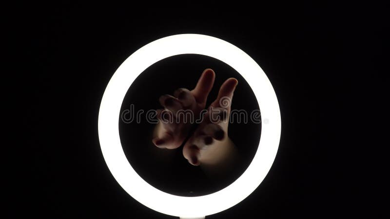 Pack of Gestures. Female Hands Close-up Make Figures from Fingers ...