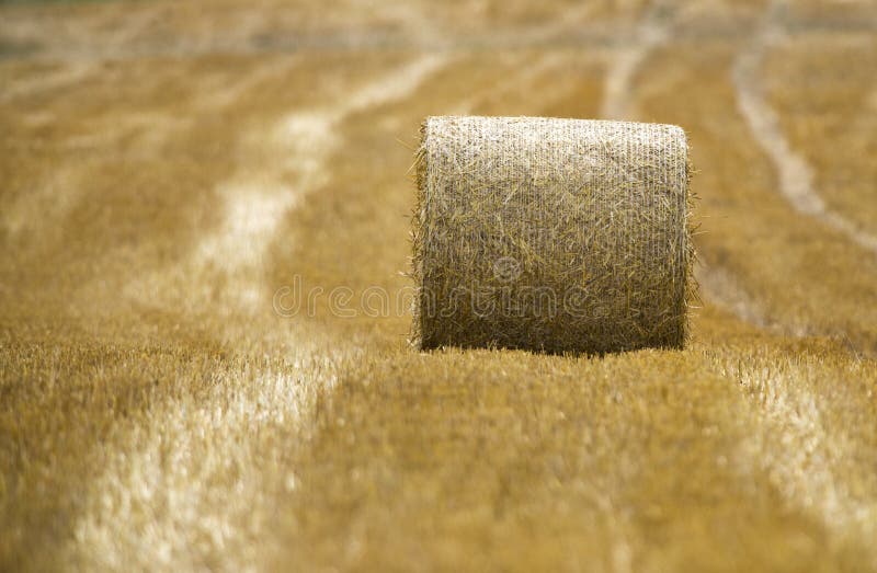 Pack of grain stock image. Image of harvesting, farming - 70492947