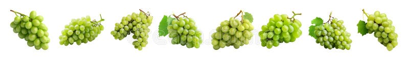 Pack of Grapes Fruit on Transparent Background Stock Illustration ...