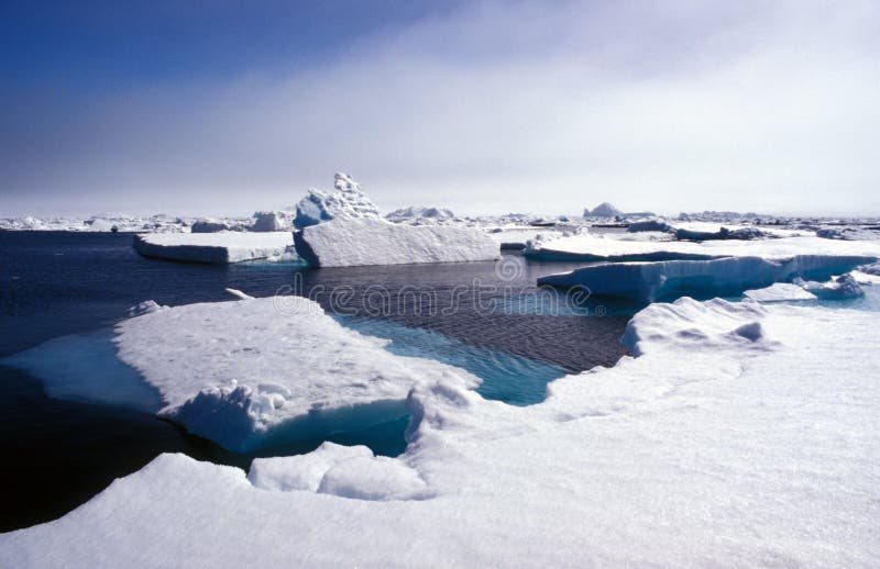 Pack ice stock image. Image of greenland, ocean, iceberg - 23072387