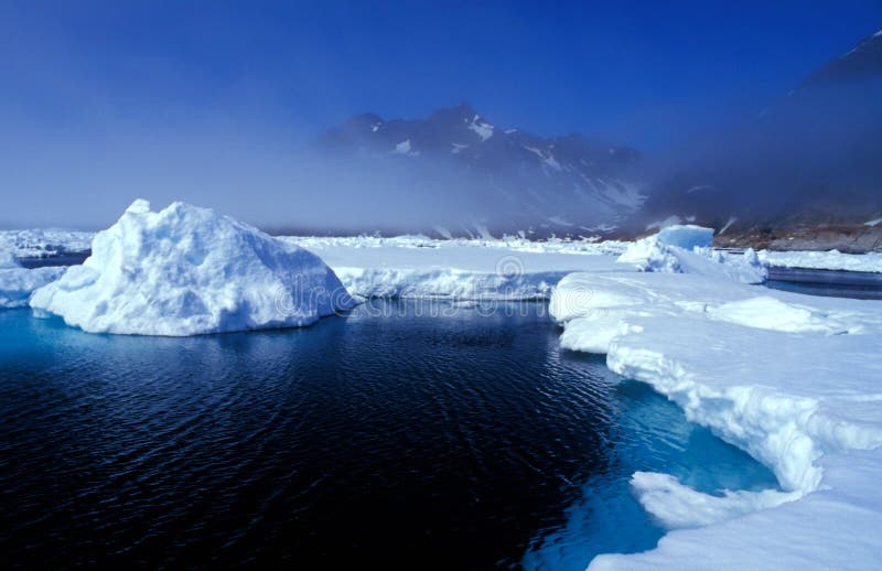 Pack ice stock photo. Image of water, blue, calm, freezing - 23087884