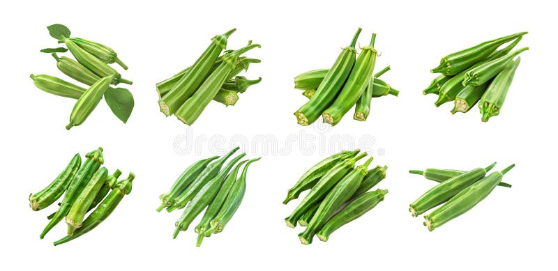 Pack of Lady Finger Vegetable on Transparent Background Stock ...