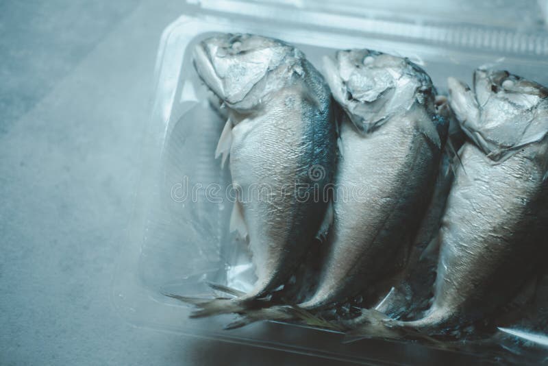 Pack of mackerel in box stock image. Image of culture - 220734385