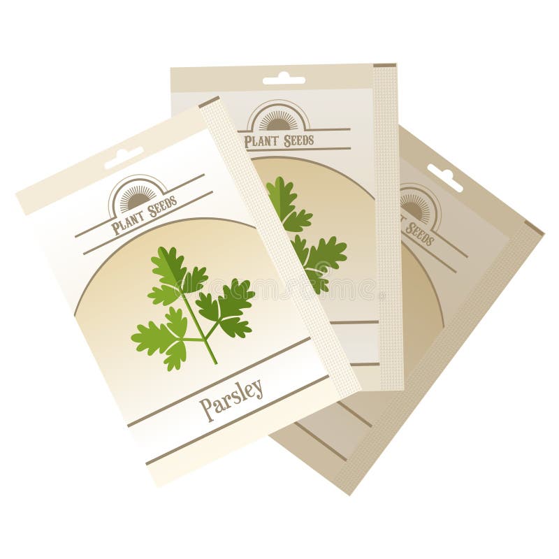 Pack of Parsley seeds icon stock vector. Illustration of food - 89142158