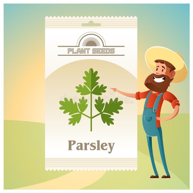 Pack of Parsley seeds icon stock vector. Illustration of healthy - 89554369