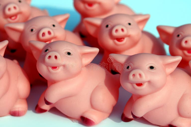 A pack of pigs stock image. Image of relationship, playful - 2326903