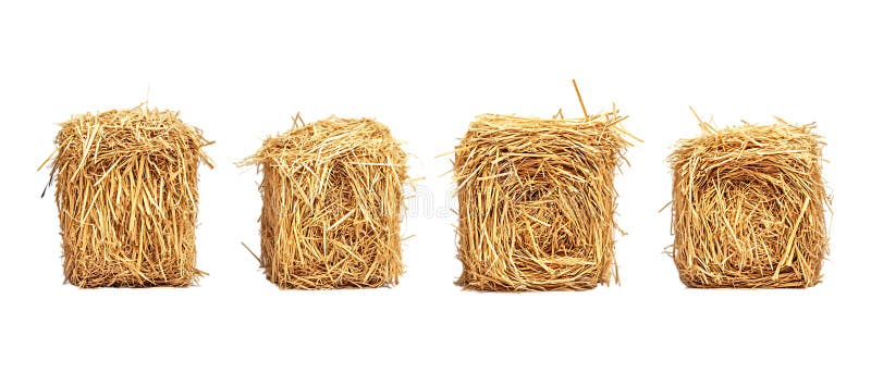 Pack of Piled Stacks of Dry Straw in Five Different Poses Against ...