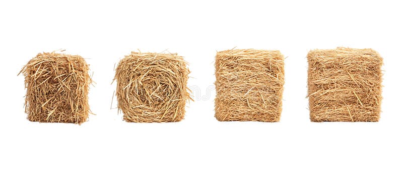 Pack of Piled Stacks of Dry Straw in Five Different Poses Against ...