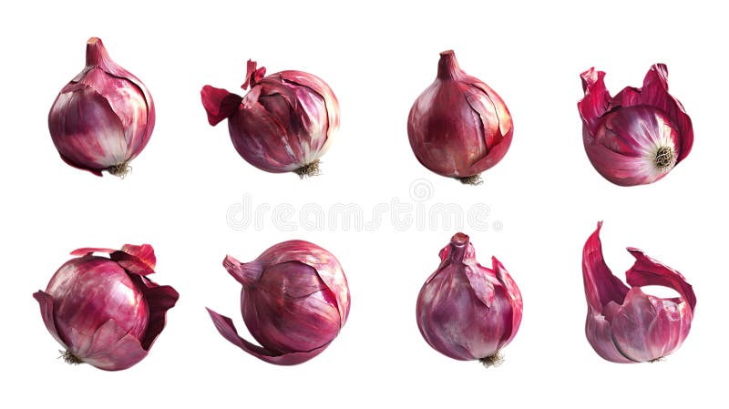 Pack of Red Onion on Transparent Background Stock Illustration ...