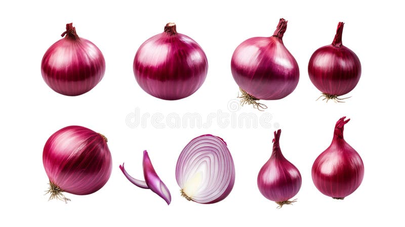 Pack of Red Onion on Transparent Background Stock Illustration ...
