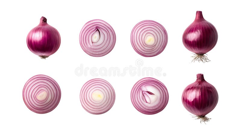 Pack of Red Onion on Transparent Background Stock Illustration ...