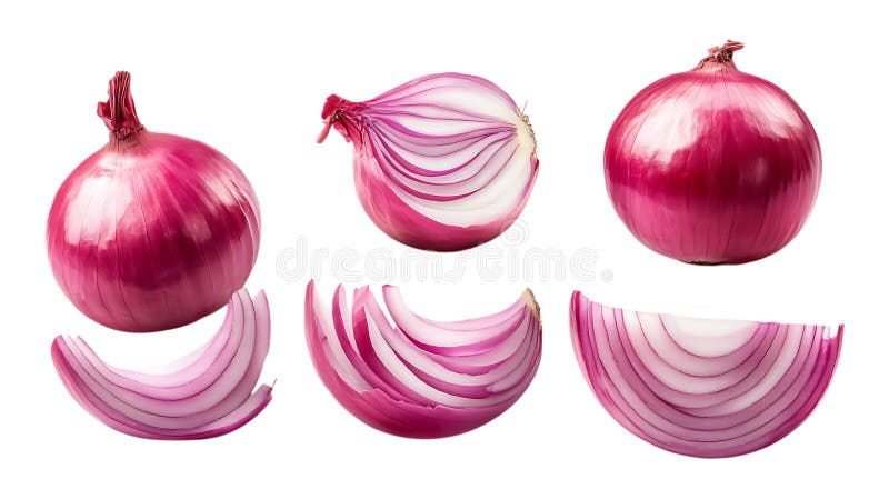 Pack of Red Onion on Transparent Background Stock Illustration ...