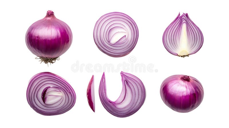 Pack of Red Onion on Transparent Background Stock Illustration ...